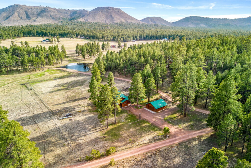 Alpine, Arizona | Brenda Ciminski