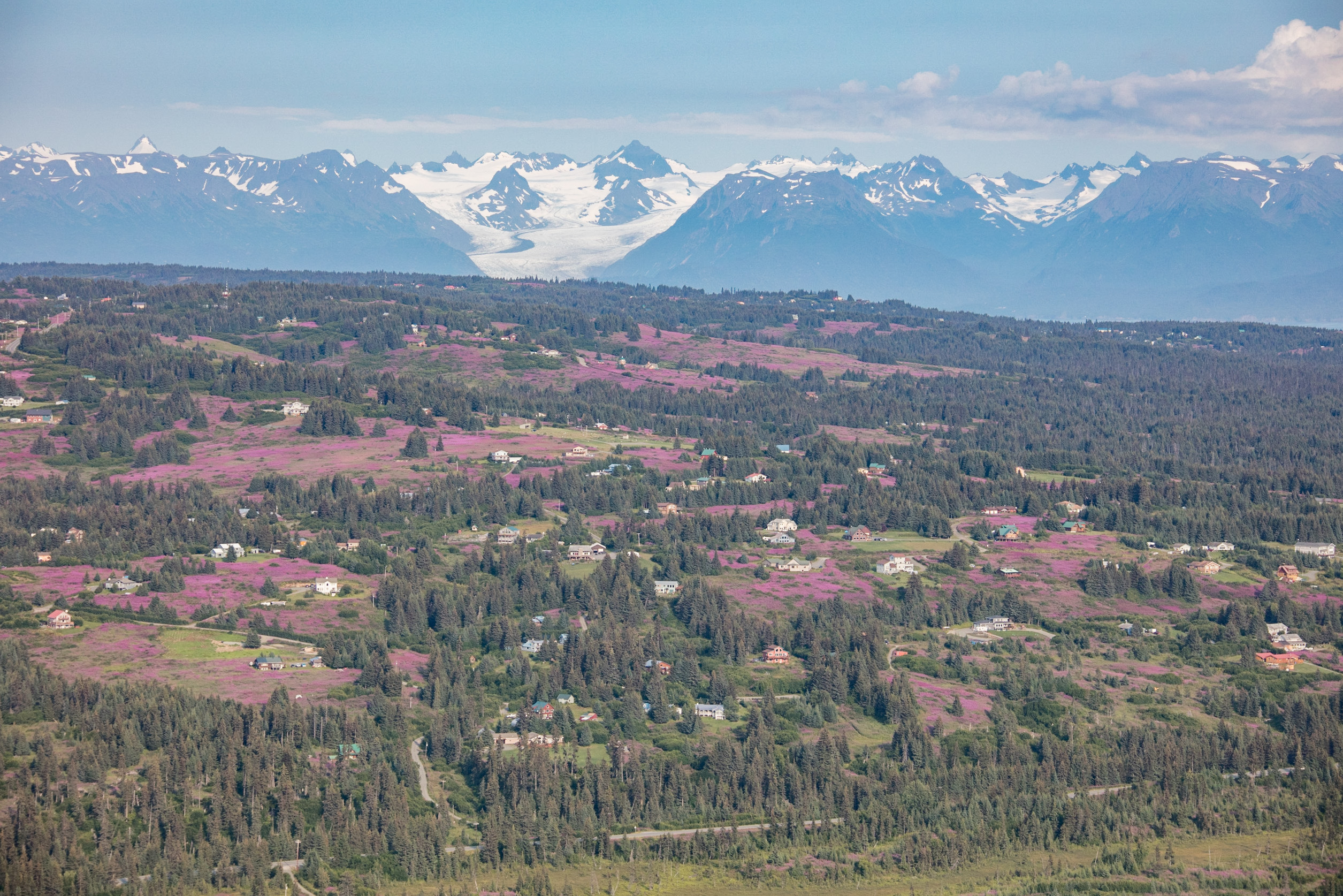 Diamond Ridge | Skyline | Story Real Estate